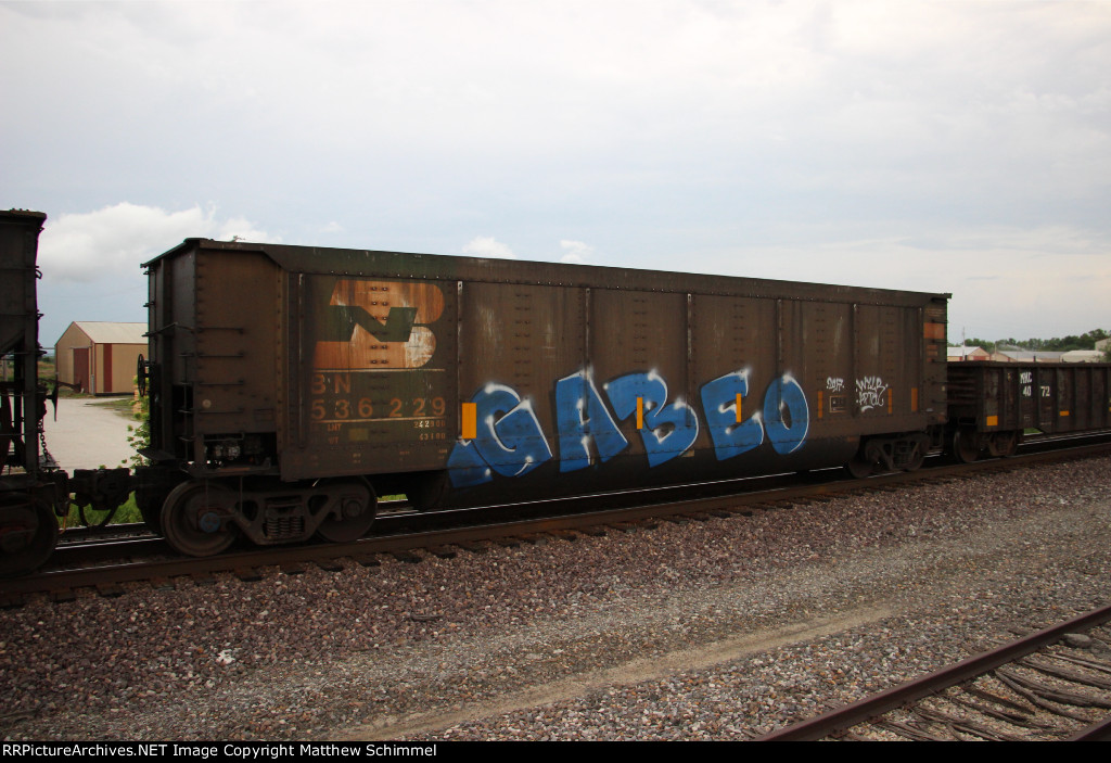 Burlington Northern Coal Gon